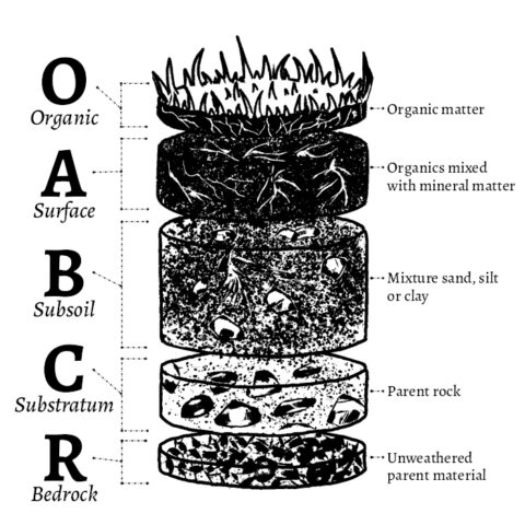 Soil Profile Wins: Discover Earth's Vibrant Layers